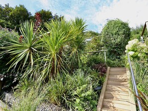 Uma passarela de madeira ladeada por diversas plantas e vegetação.