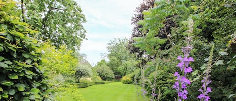 Um jardim bem cuidado, com diversas plantas e flores, gramado aparado e céu limpo.