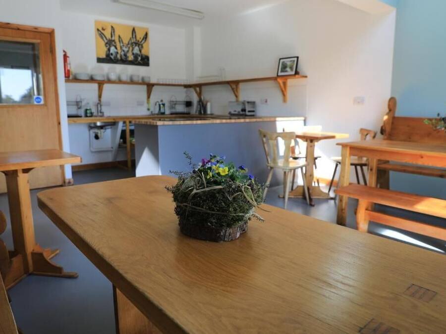 Uma cozinha com mobiliário de madeira, uma mesa de jantar com um arranjo de plantas e uma bancada.