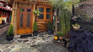 Uma casa de madeira com um caminho de pedra, plantas em vasos e um pequeno jardim.