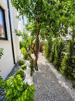 Uma trilha bordeada por árvores e arbustos, conduzindo a um edifício com fachada branca e uma janela.