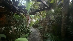 Um caminho estreito cercado por folhagem densa e um muro de tijolos.