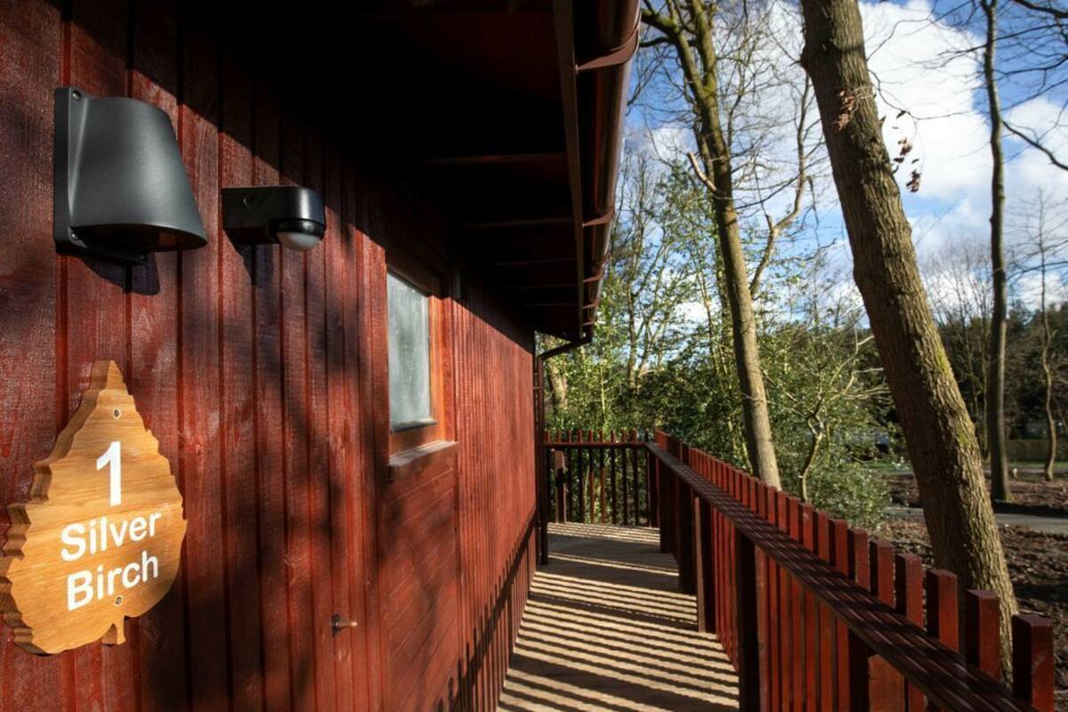 Uma cabana de madeira com um deck de madeira e uma placa indicando '1 Silver Birch'.