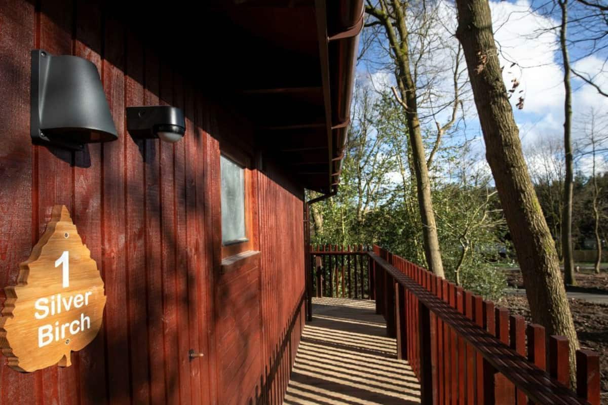 Uma cabana de madeira com um deck de madeira e uma placa indicando '1 Silver Birch'.