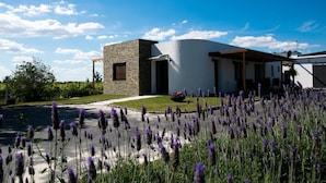 Um edifício moderno com fachada de pedra, telhado curvo e um gramado bem cuidado com lavanda.