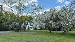Uma casa com gramado e árvores floridas.