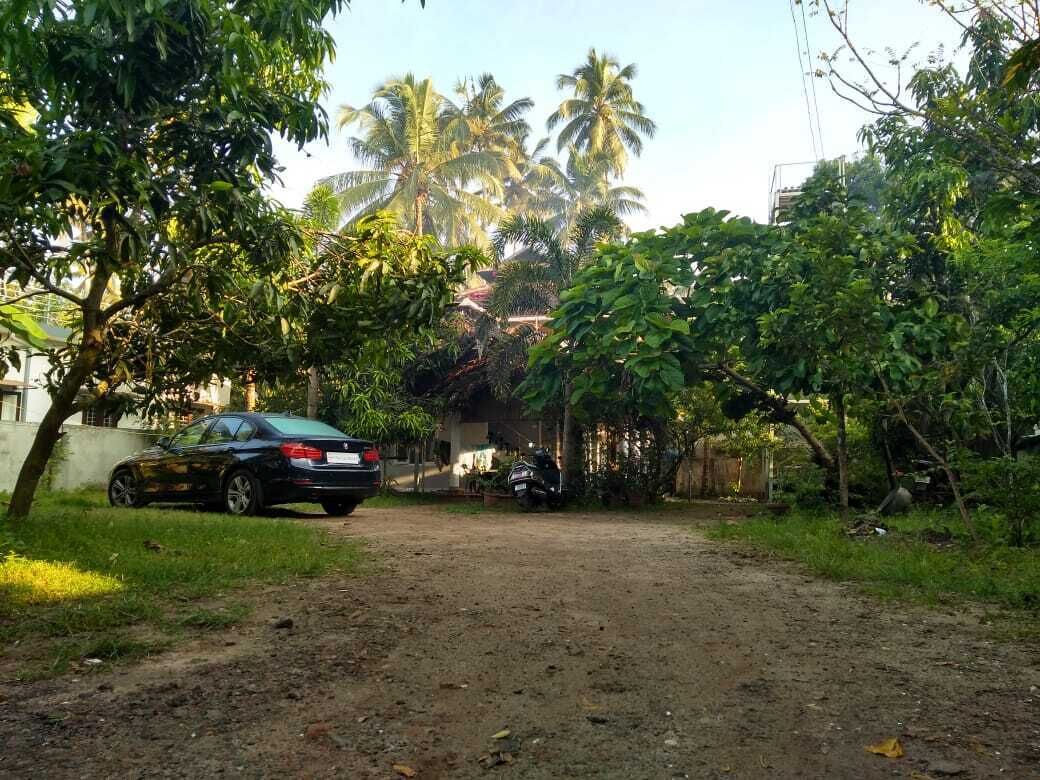 Uma estrada de terra que leva a um carro estacionado e uma motocicleta, cercada por vegetação exuberante e palmeiras.