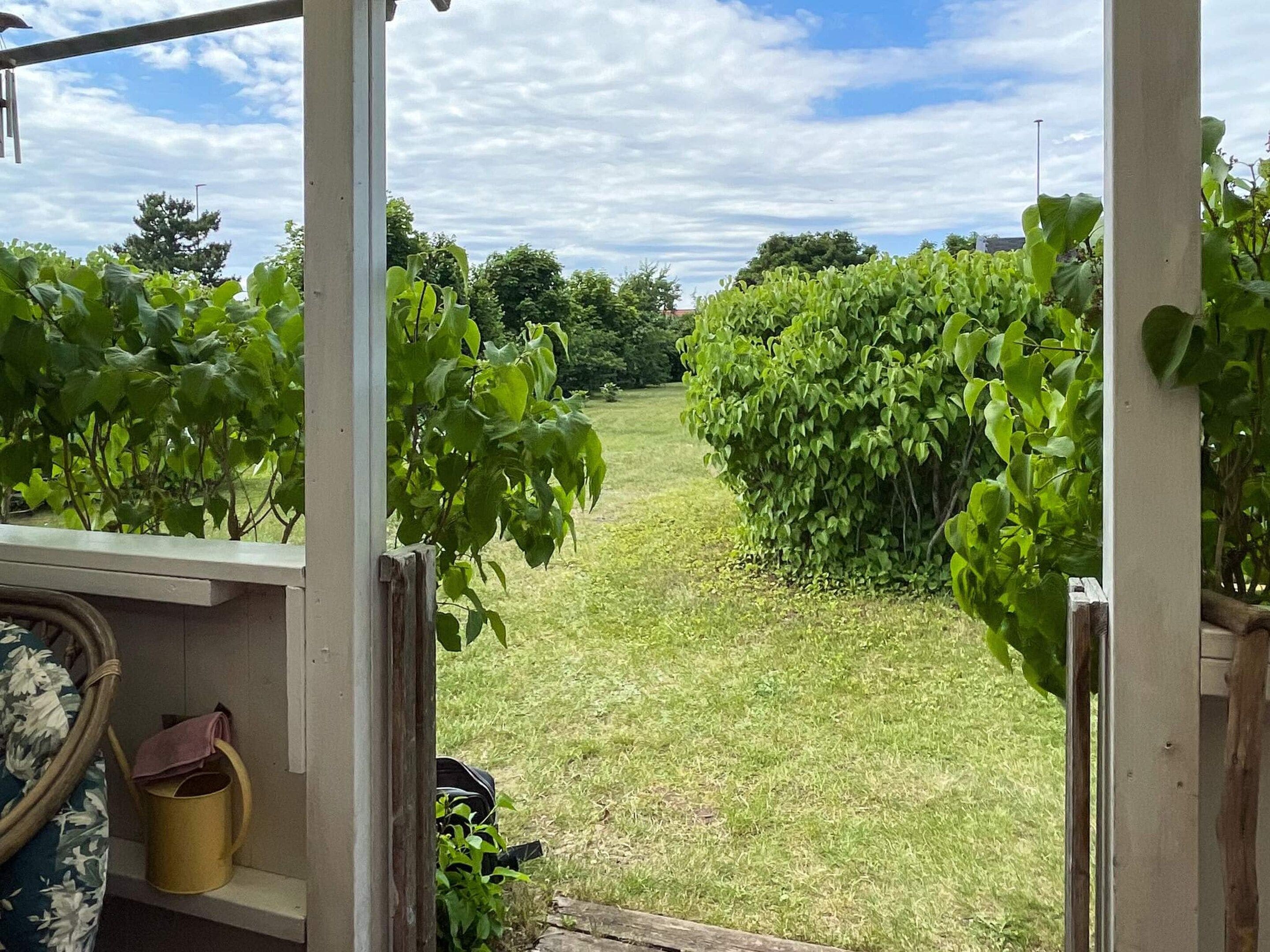 Visão através de uma porta para um jardim com um caminho gramado, rodeado por vegetação exuberante.