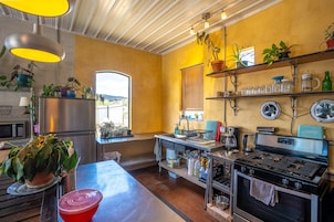 Uma cozinha moderna com eletrodomésticos de aço inoxidável, uma janela grande e diversos vasos com plantas.