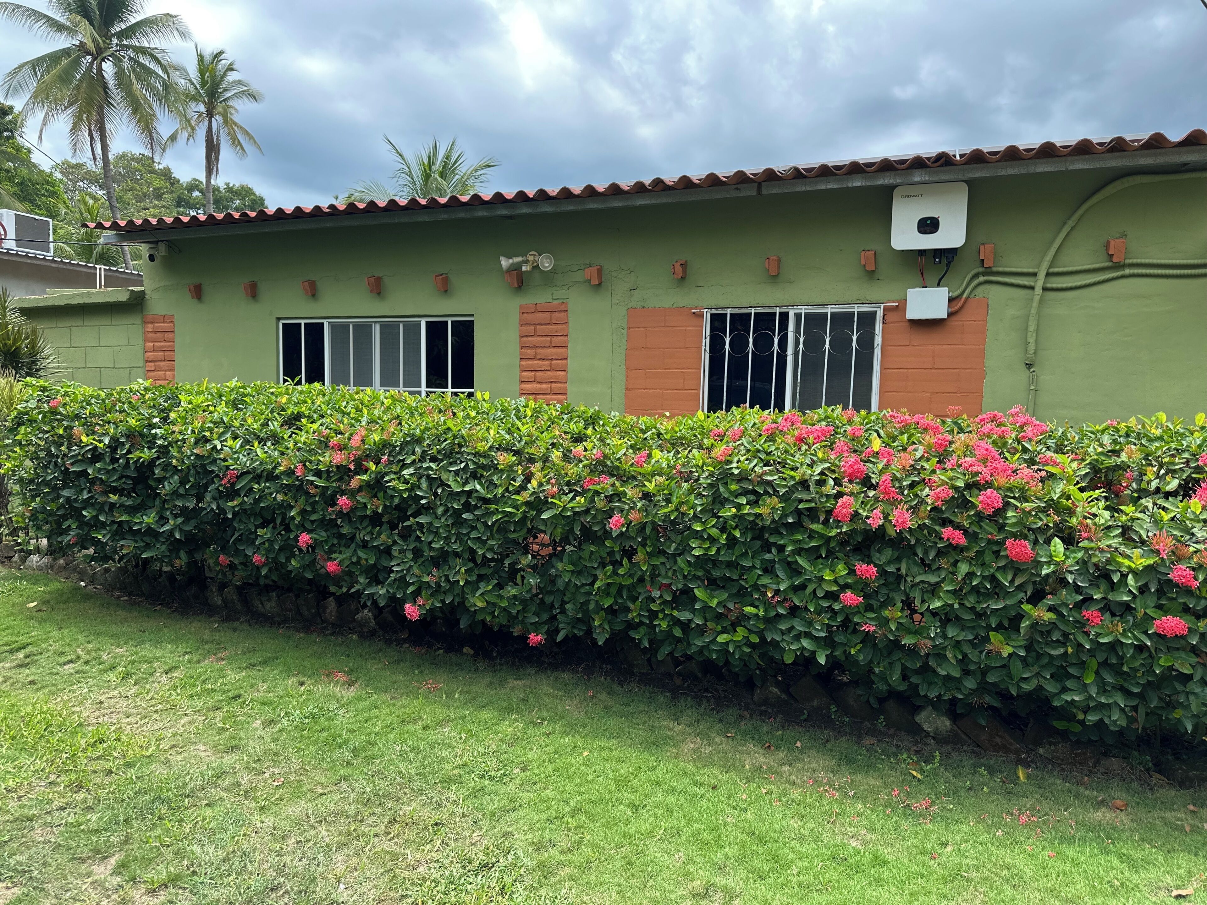 Um edifício com fachada verde, duas janelas com grades de metal e um viveiro com flores cor-de-rosa.