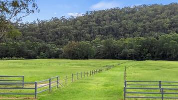 Um campo cercado com céu aberto e uma colina arborizada ao fundo.