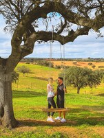 Um casal em um balanço sob uma grande árvore em um campo gramado, com edifícios ao longe.