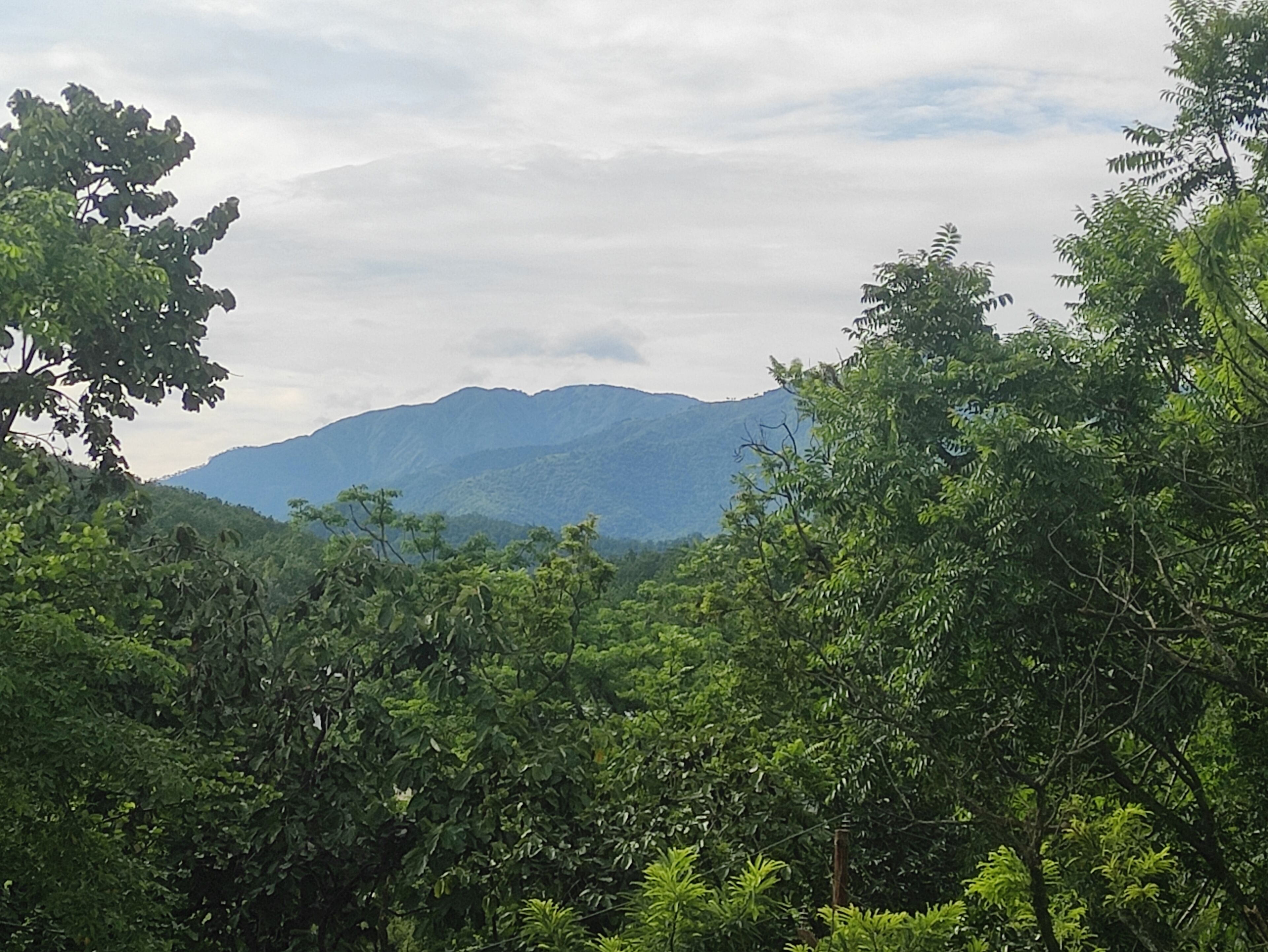 Paisagem montanhosa com floresta densa em primeiro plano e uma cordilheira ao fundo.