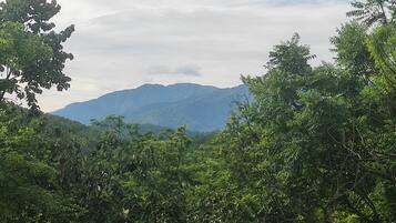 Paisagem montanhosa com floresta densa em primeiro plano e uma cordilheira ao fundo.