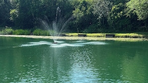 Um lago tranquilo com uma fonte e patos nadando.