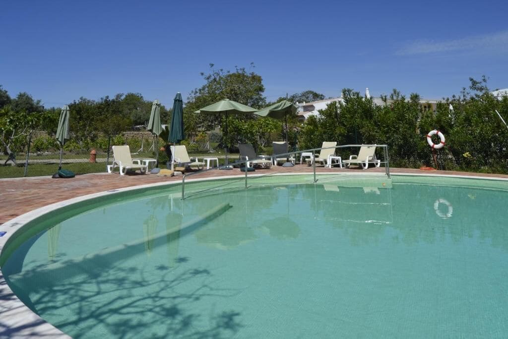 Quarto Twin Económico | Piscina