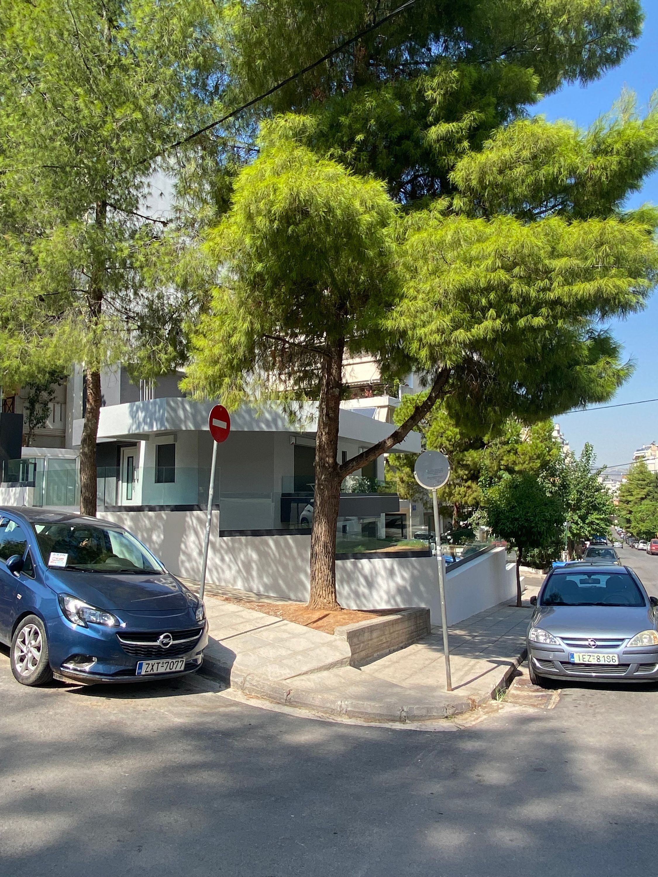 Rua com carros estacionados, placa de proibido estacionar e uma árvore.