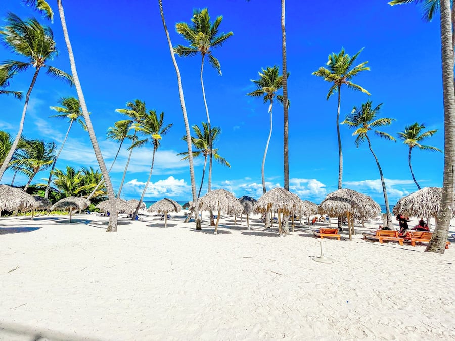 Uma praia com palmeiras e guarda-sóis de palha.
