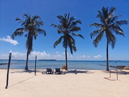 Uma praia com três palmeiras, uma rede de voleibol e duas cadeiras de praia.