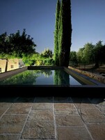 Piscina ao ar livre com ladrilhos de pedra, rodeada por vegetação e uma árvore alta.