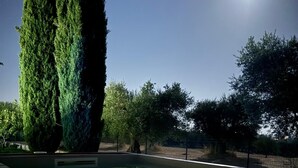 Piscina com reflexo límpido, rodeada por árvores e um muro.