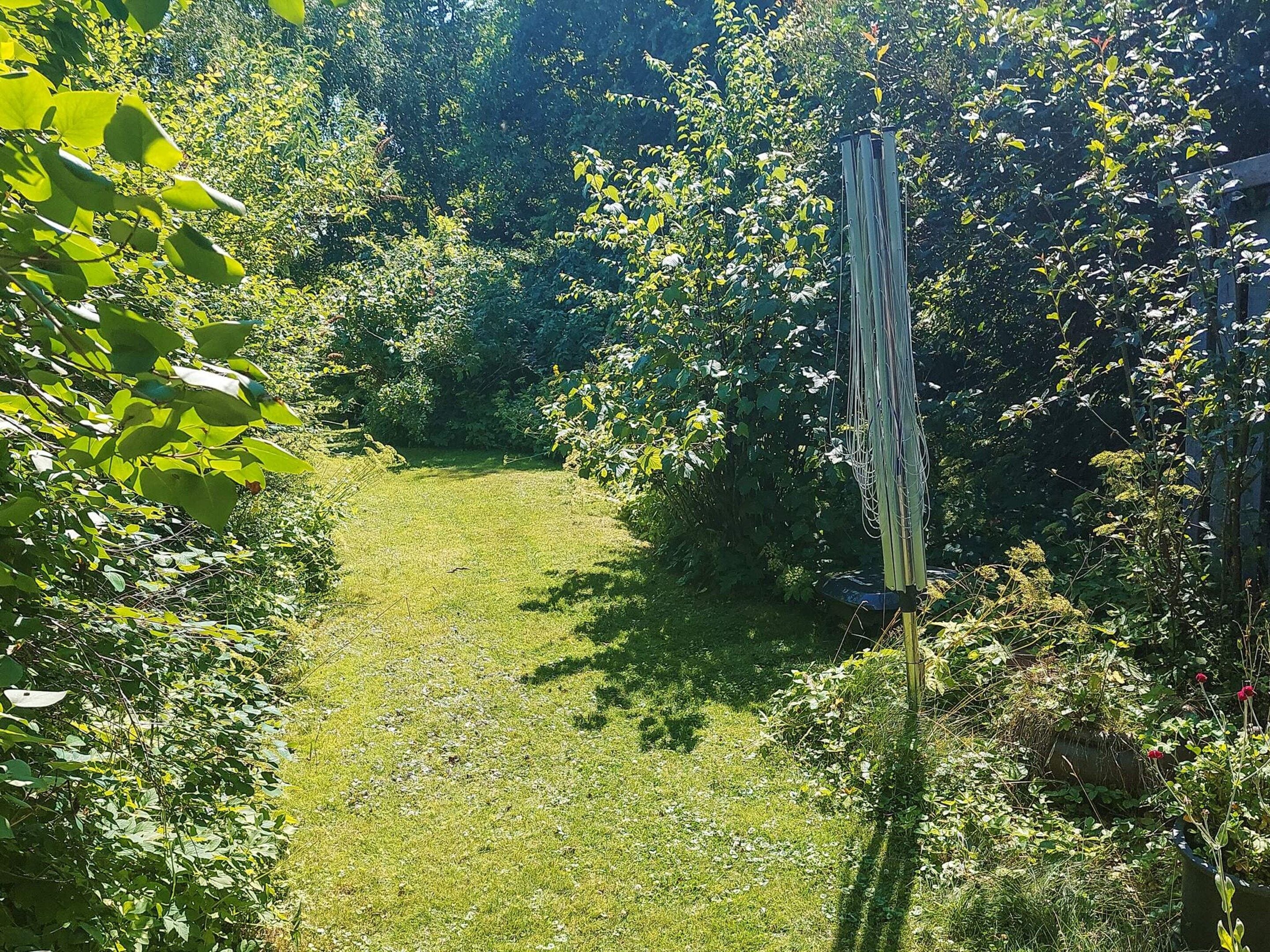 Um caminho serpenteando por um jardim com folhagem densa de ambos os lados.