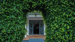 Um caminho que leva à entrada de um edifício, emoldurado por vegetação densa.