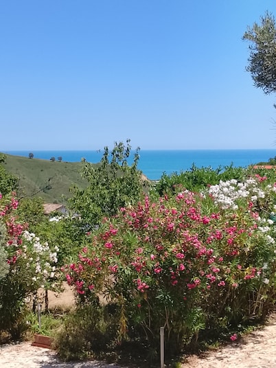 Casa Bianca
