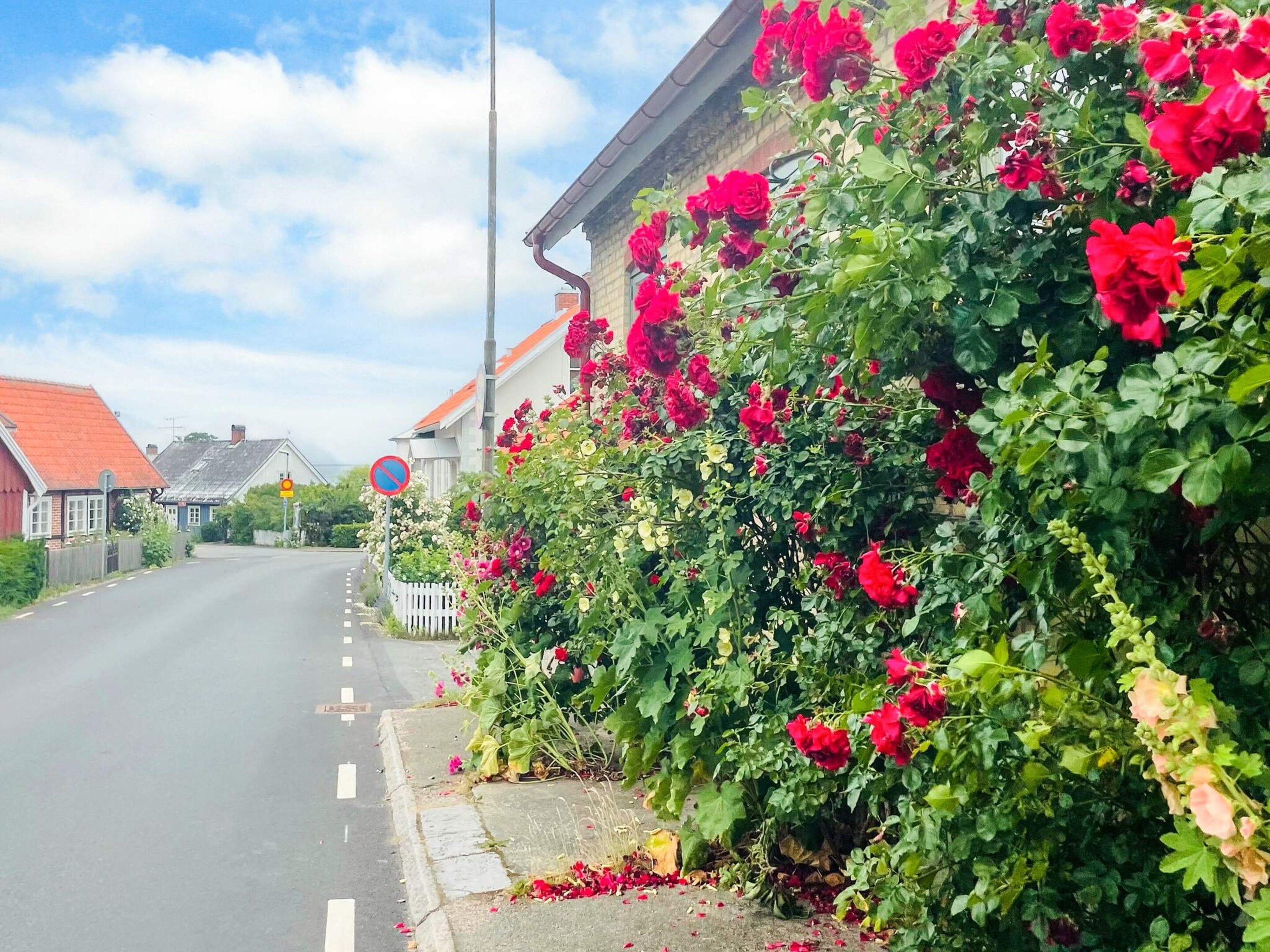Uma estrada com cerca branca e um edifício com flores vermelhas.