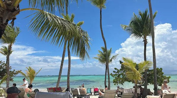 Um resort à beira-mar, com palmeiras, espreguiçadeiras e vista para o oceano.