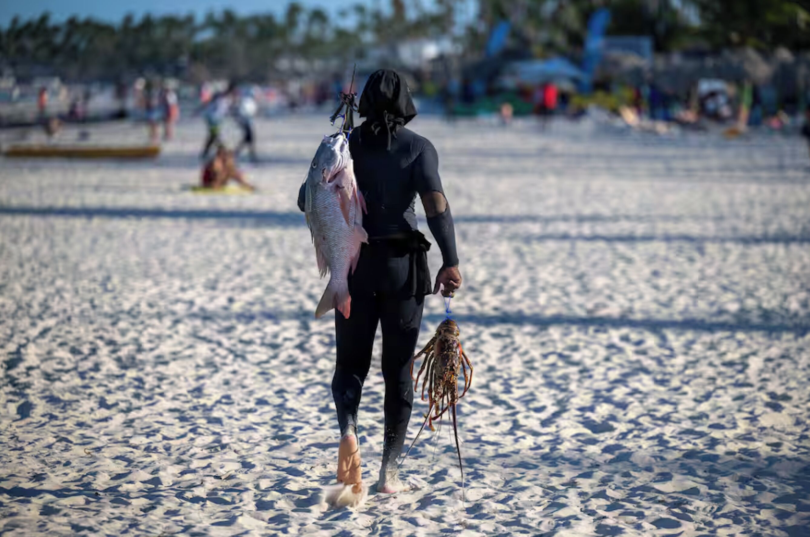 Uma praia com pessoas e uma pessoa carregando um peixe e um caranguejo.