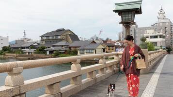 Uma ponte com grade de pedra, uma pessoa passeando com um cachorro e edifícios ao fundo.