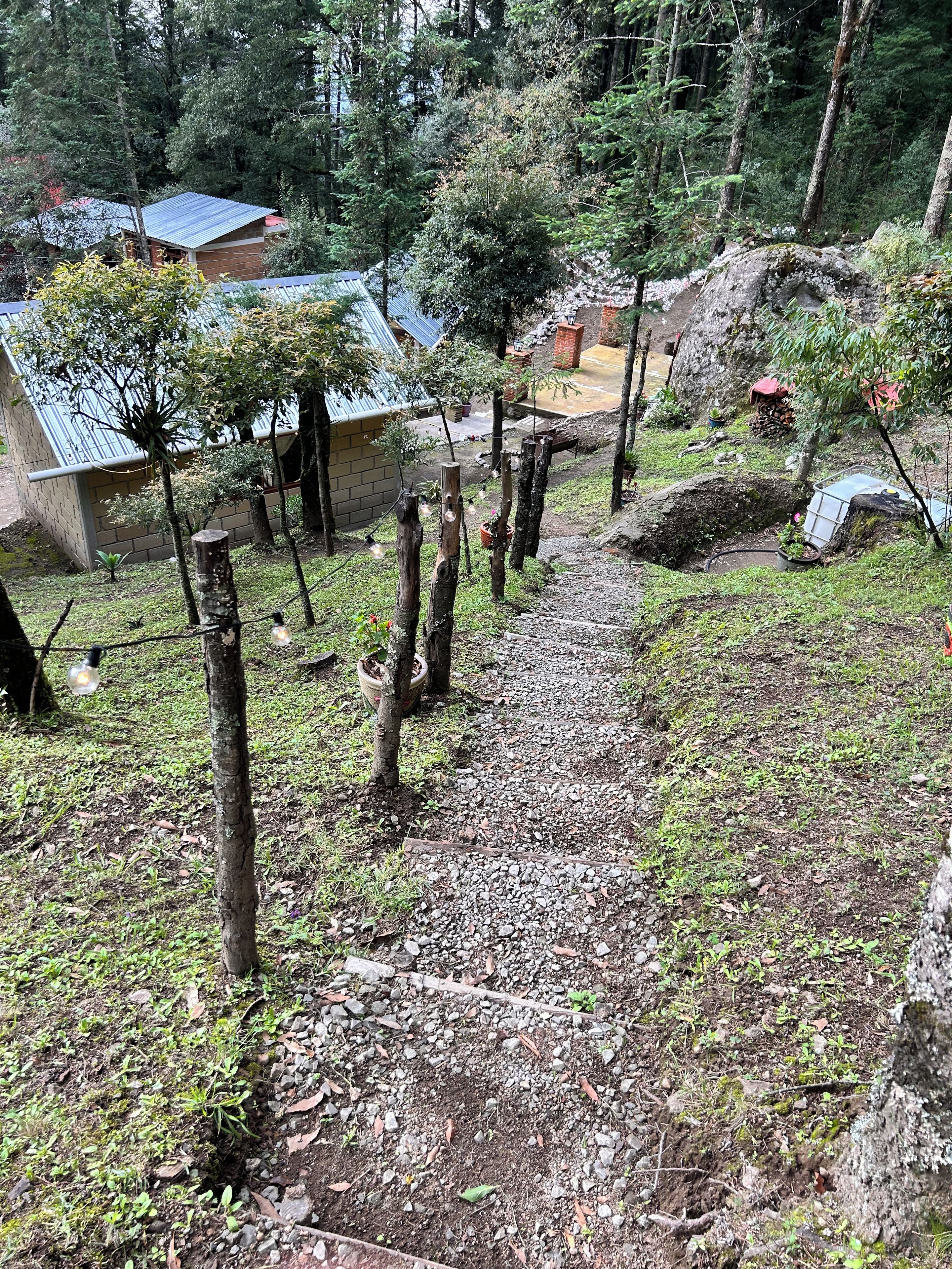 Uma área residencial com uma casa, árvores e um caminho de cascalho.