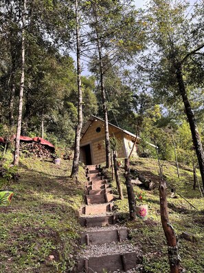 Uma escadaria de madeira rústica leva a um pequeno edifício térreo com telhado inclinado, cercado por árvores e vegetação.
