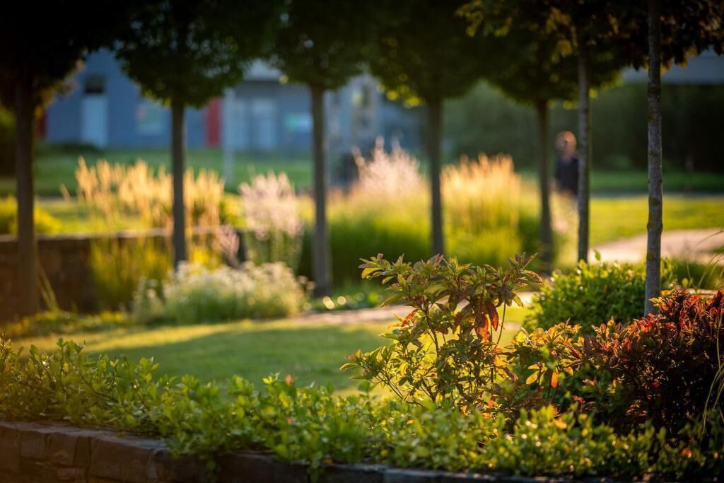 Um jardim com diversas plantas e árvores, um caminho e um edifício ao longe.