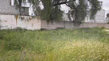 Quarto Duplo, vista para o jardim | Terrenos do alojamento