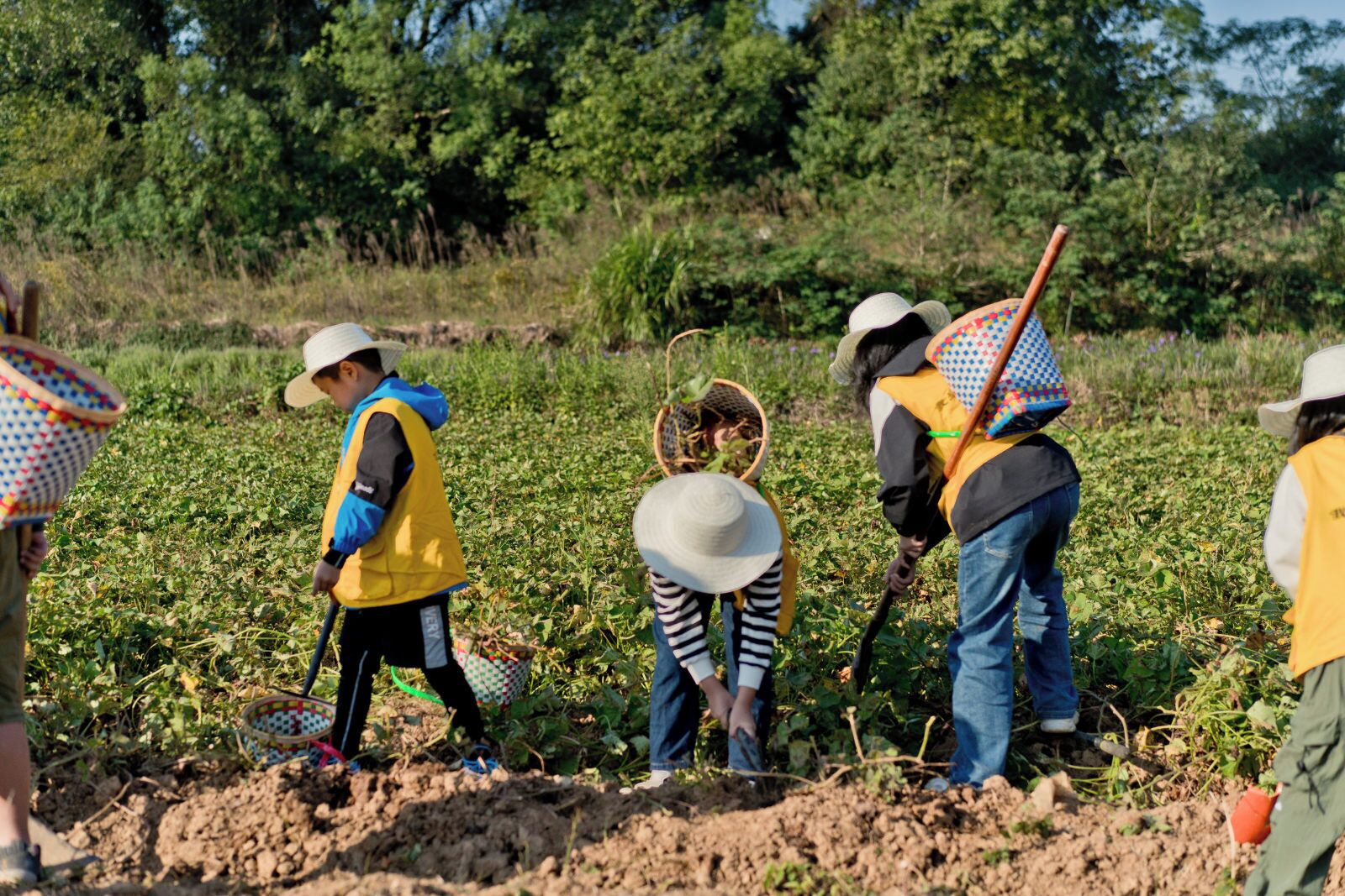 Um grupo de pessoas em um campo, algumas usando chapéus e coletes, com uma paisagem natural ao fundo.