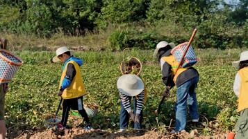 Um grupo de pessoas em um campo, algumas usando chapéus e coletes, com uma paisagem natural ao fundo.