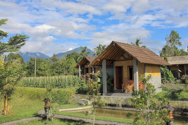 Bee Camp Bedugul By Agata - Bali