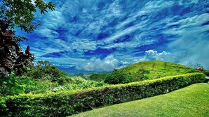 Villa, 4 quartos, piscina privativa | Terrenos do alojamento