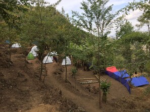 Um camping com várias barracas, árvores e uma trilha de terra.