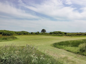 Um campo de golfe com céu limpo, grama verde e árvores dispersas.