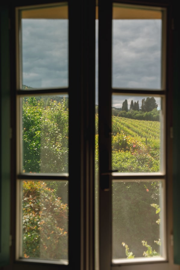 Uma janela com vista para um campo verde e árvores.
