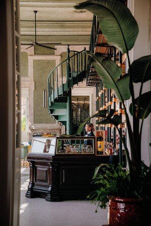 Escada em espiral em um saguão, com uma vitrine e uma grande planta em vaso.