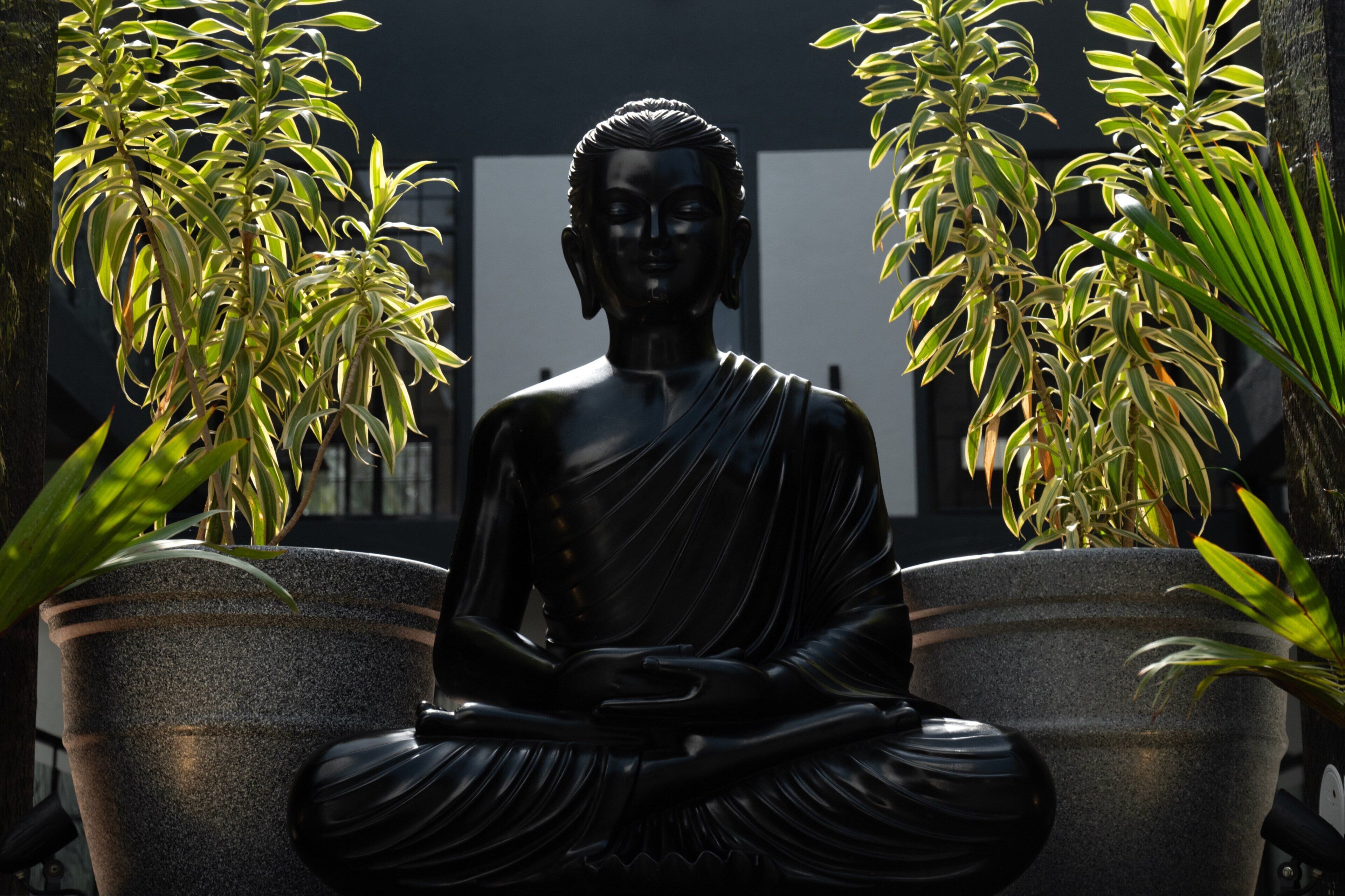 Estátua de uma figura sentada em posição meditativa, cercada por plantas em vasos.