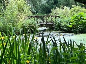 Uma ponte de madeira sobre águas calmas, cercada por vegetação exuberante.