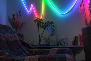 Um quarto com sofá, planta e parede com luzes neon.