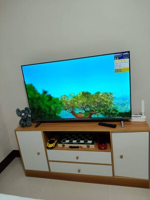 Televisão