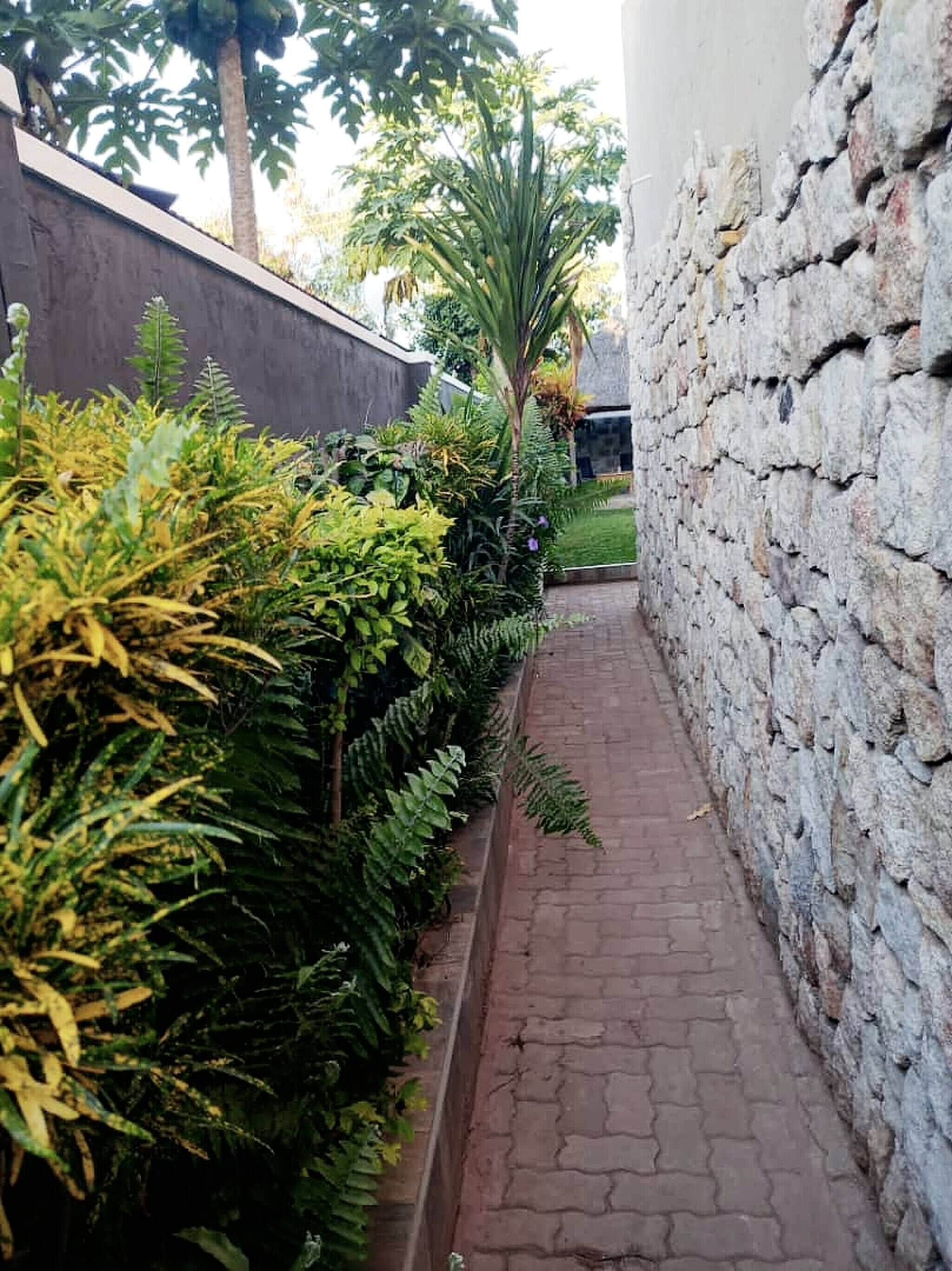 Casa, 3 quartos, acessível, fumadores | Jardim
