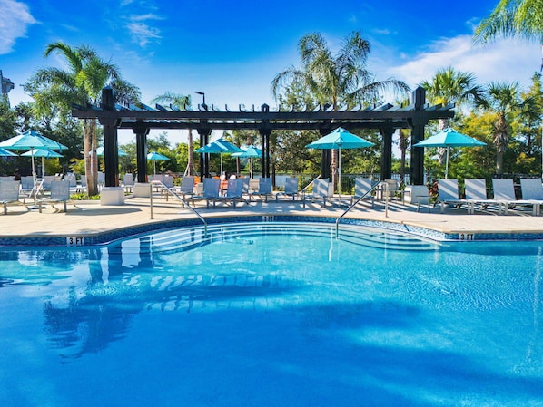 Piscina com espreguiçadeiras e guarda-sóis, rodeada por palmeiras.